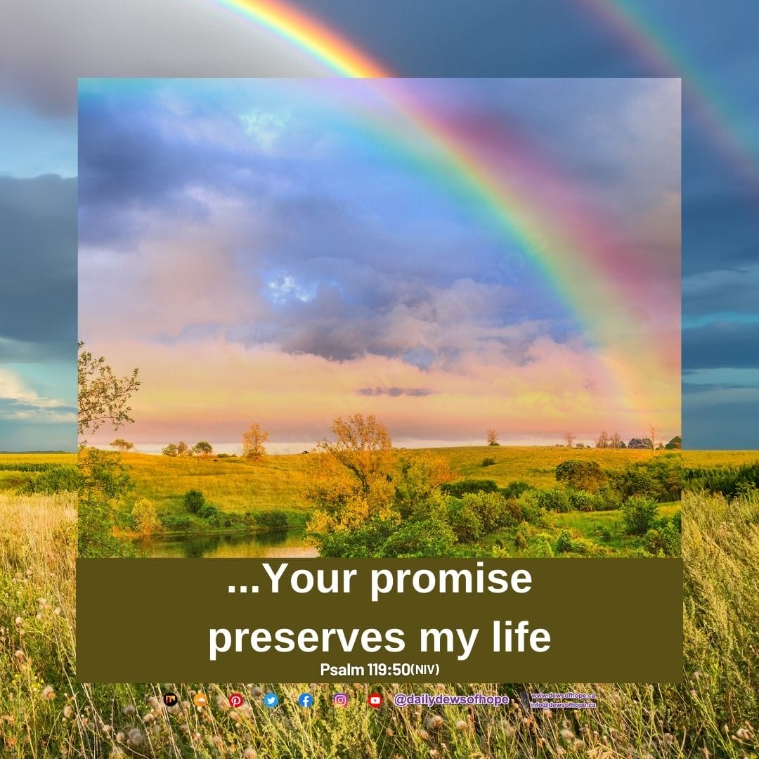 21 June 2021 Daily Dews Of Hope 21-june-2021-daily-dews-of-hope